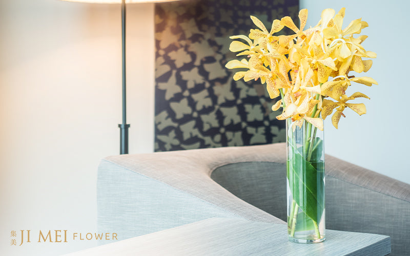 3 Flowers and Plants to Enhance Feng Shui With | Ji Mei Flower