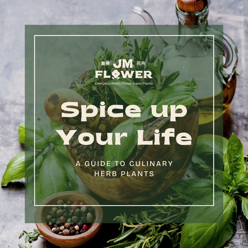 Spice Up Your Life: A Guide to Culinary Edible Plants