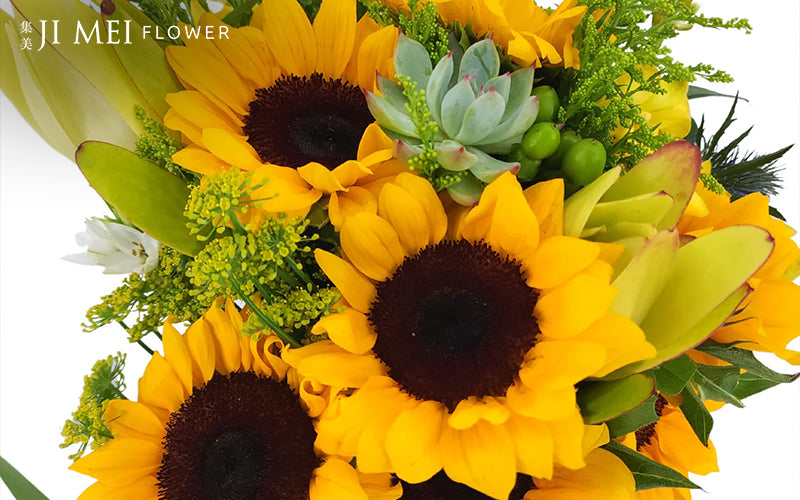 Symbolism, History and Meaning of Sunflower | Ji Mei Flower