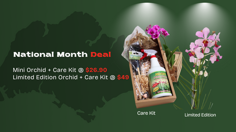 One-Stop Singapore Wholesale Flowers, Plants, Bouquets & Gifts Florist ...