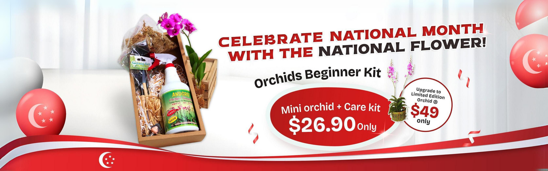 One-Stop Singapore Wholesale Flowers, Plants, Bouquets & Gifts Florist ...