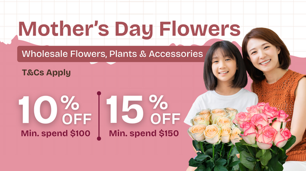 One-Stop Singapore Wholesale Flowers, Plants, Bouquets & Gifts Florist ...