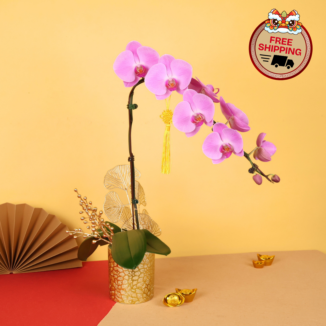 Lucky Gem (1 Single Stalk) - Orchid Phalaenopsis