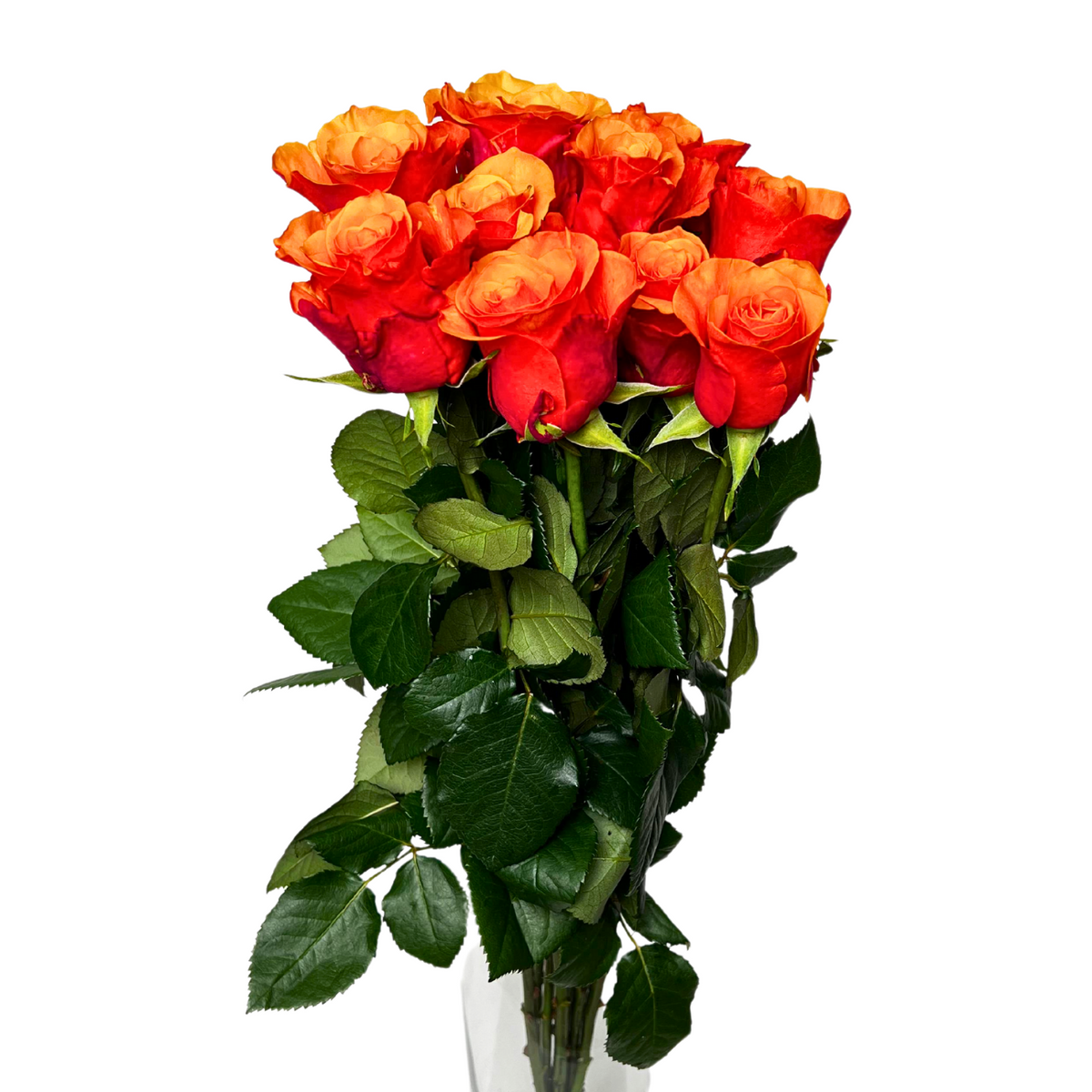 Best Rose Bouquet Delivery in Singapore | Ji Mei Flower – JM Flower