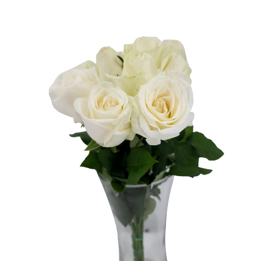 Fresh Cut Roses for Sale | Variety of Rose Flowers Available
