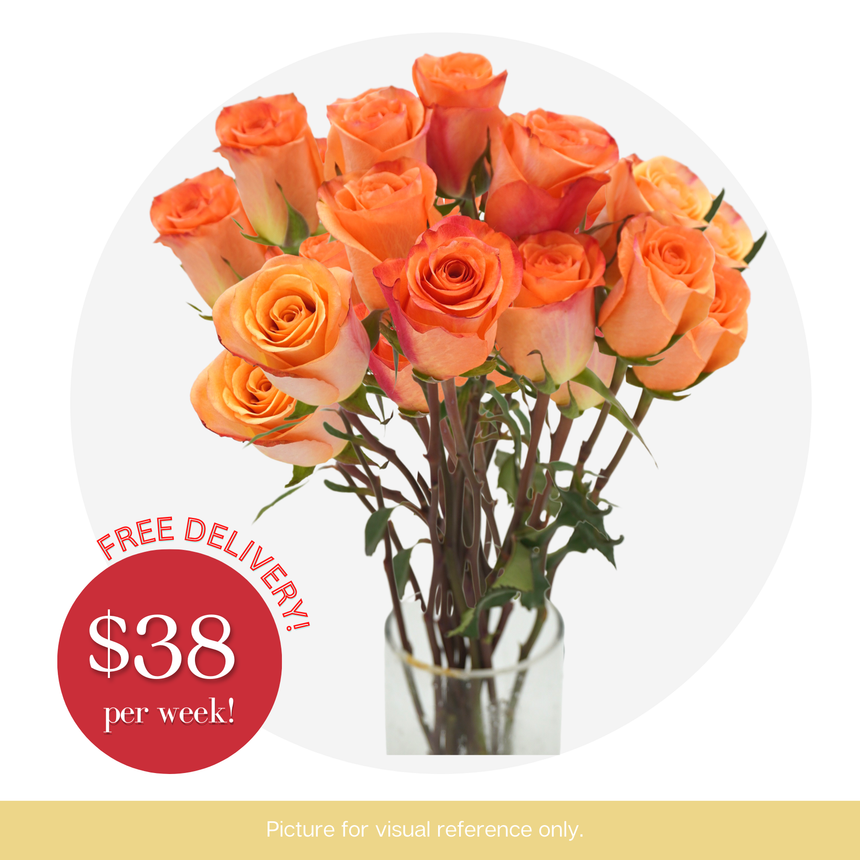 Flower Subscription – JM Flower