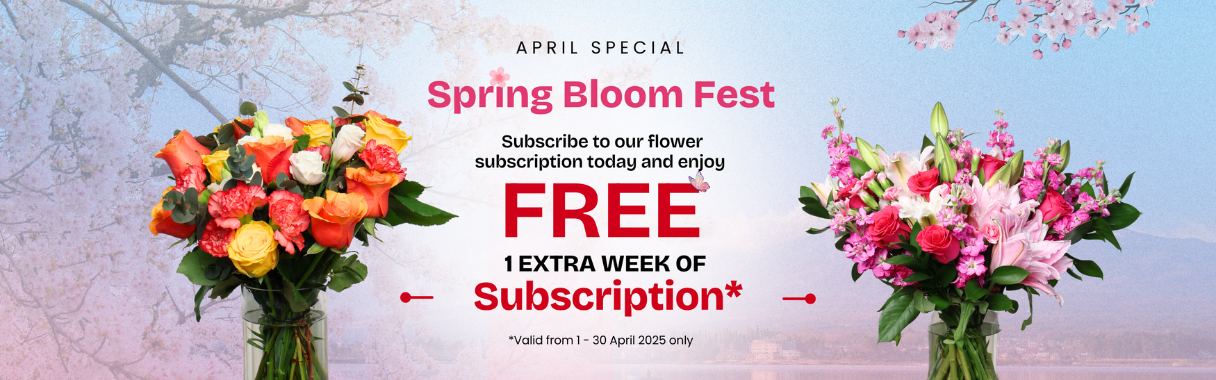 One-Stop Singapore Wholesale Flowers, Plants, Bouquets & Gifts Florist ...