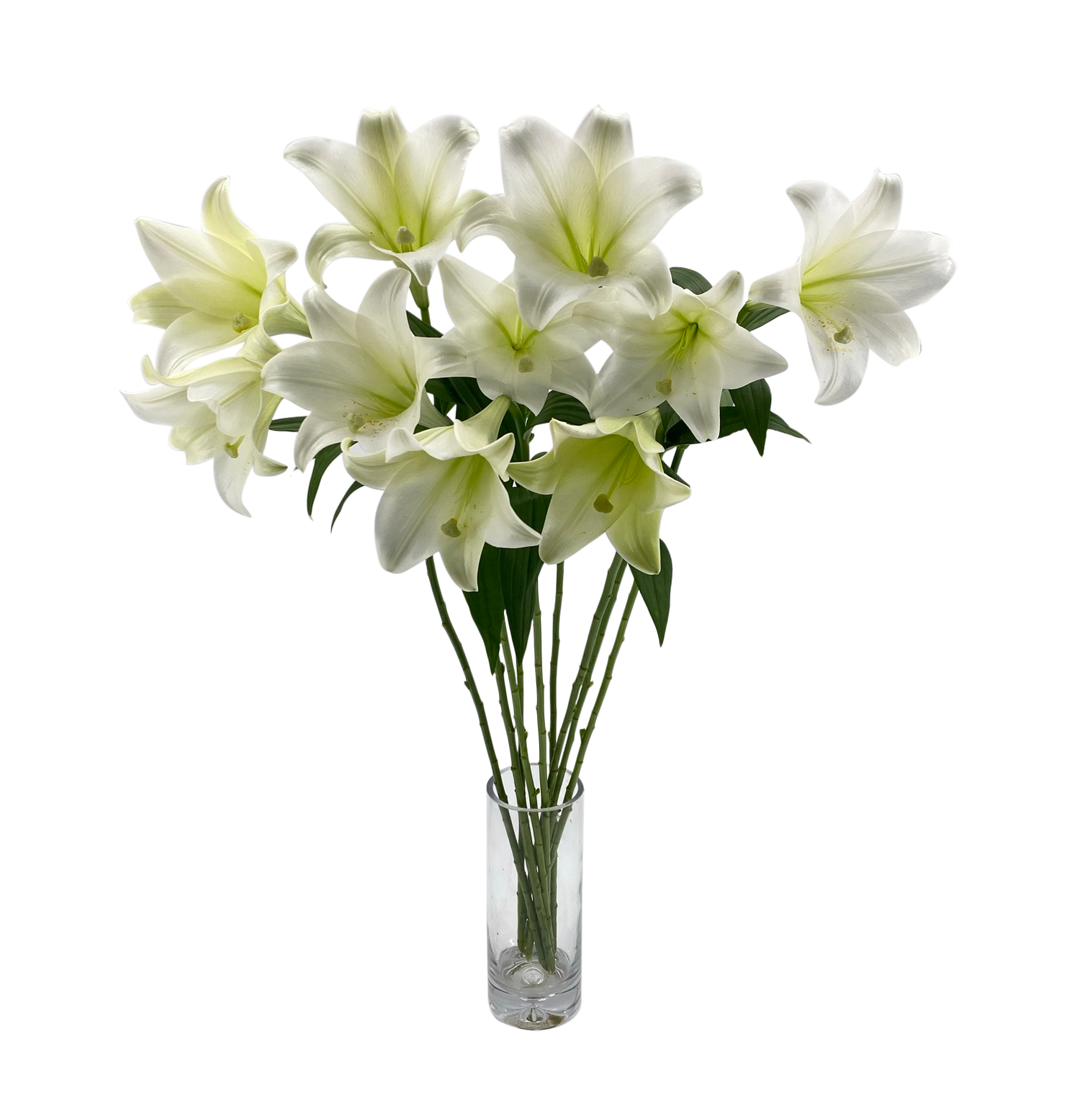 Fresh Cut Lilies for Home and Events | Buy Lilies in Bulk