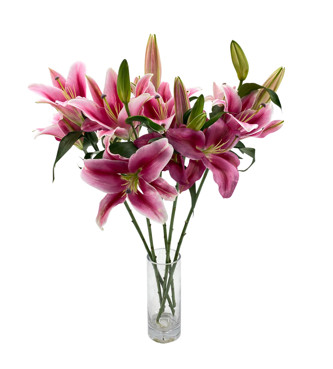Fresh Cut Lilies for Home and Events | Buy Lilies in Bulk