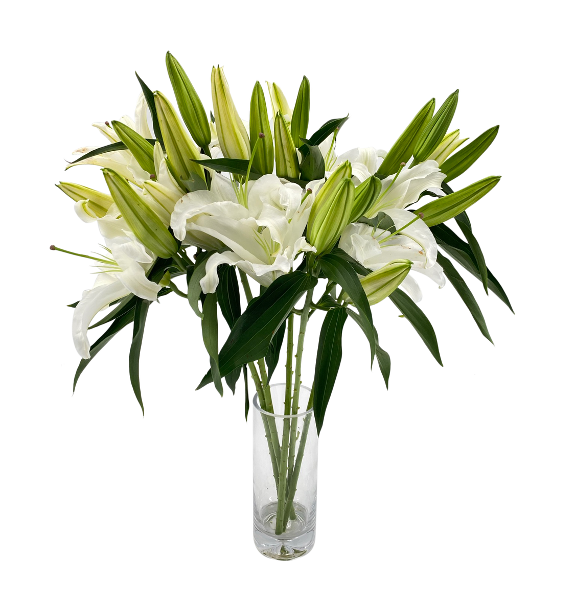 Fresh Cut Lilies for Home and Events | Buy Lilies in Bulk