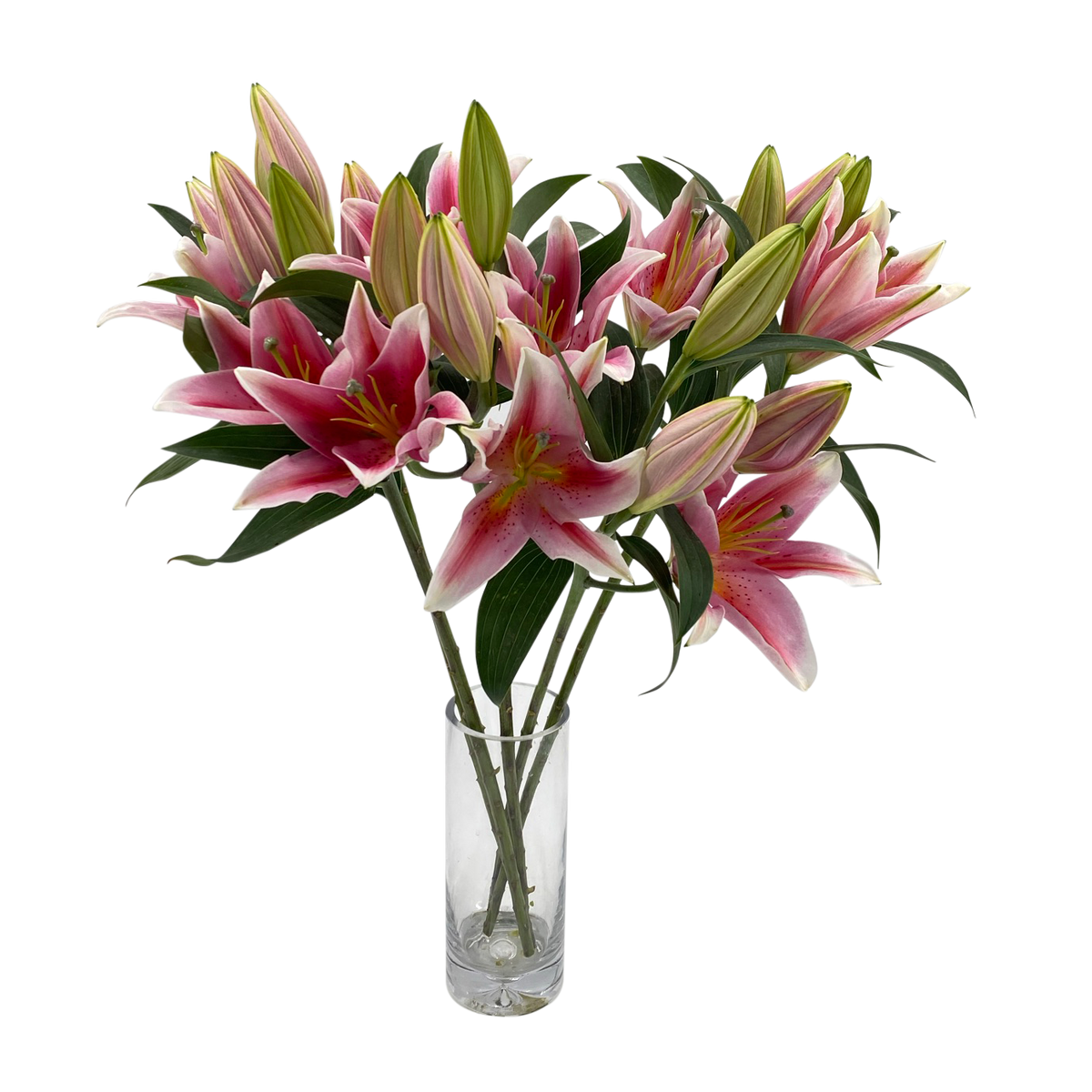 Lily - Tiber 4 heads | Fresh Flowers | Ji Mei Flower