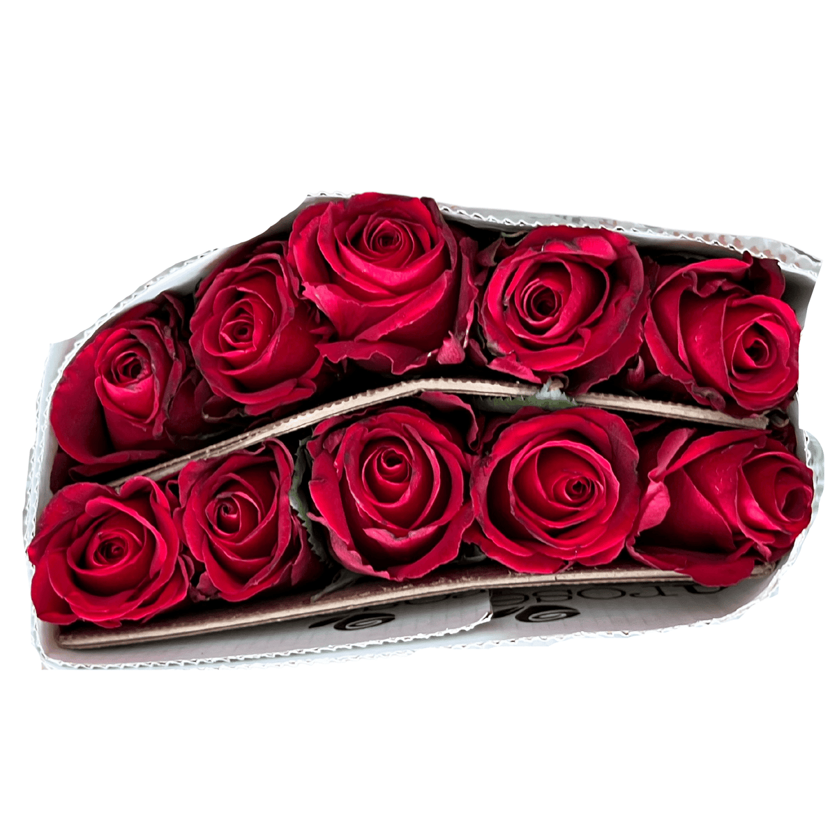 Rose Kenya Red | Fresh Flowers | Ji Mei Flower